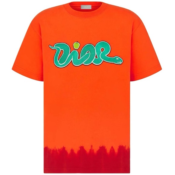 Dior | Shirts | Dior X Kaws Year Of The Snake Tshirt Fallwinter 225 ...